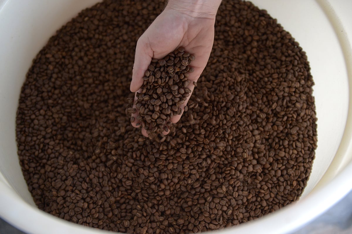 Coffee Variety Is Priciest Since 1970s in Blow to Instant Brews