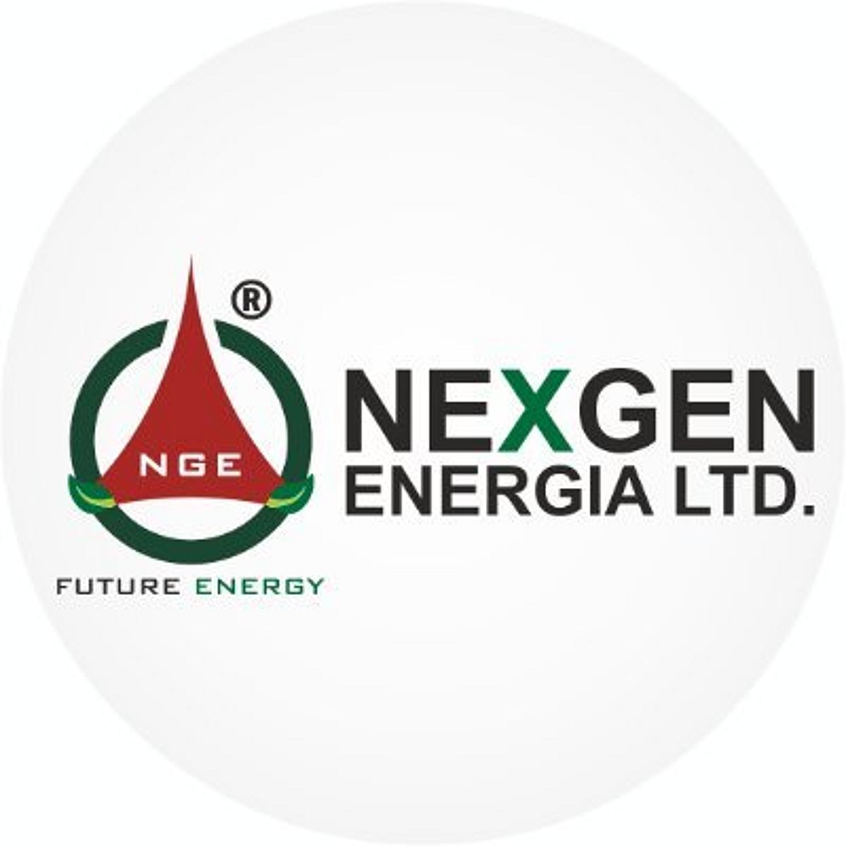 NexGen Energia To Invest Rs 15,000 Crore In 5,000 Green Energy Pumps ...