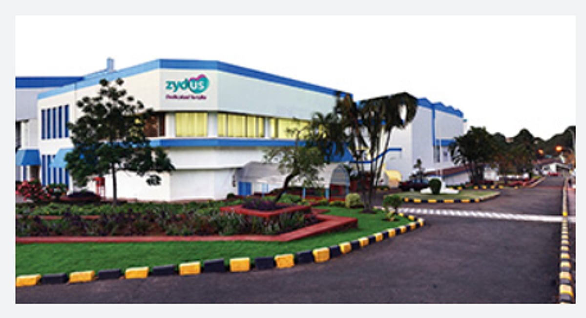Zydus Lifesciences To Acquire Sterling Biotech's Fermentation-Based API Business for Rs 84 Crore