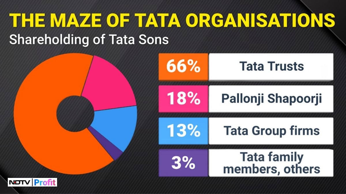 Mehli Mistry Set For Permanent Tata Trusts Seat