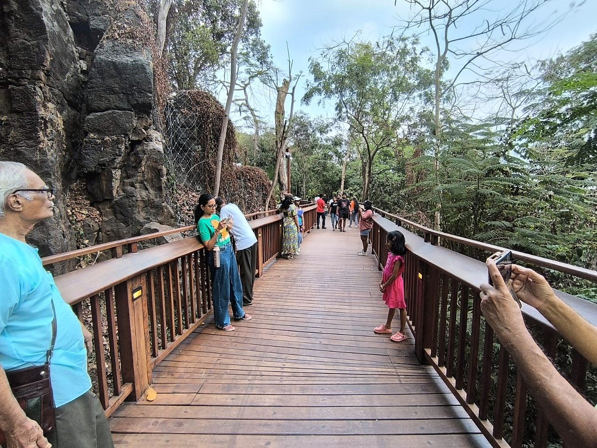 Mumbai's Malabar Hill Nature Trail: Check Timings, Ticket Prices, How ...