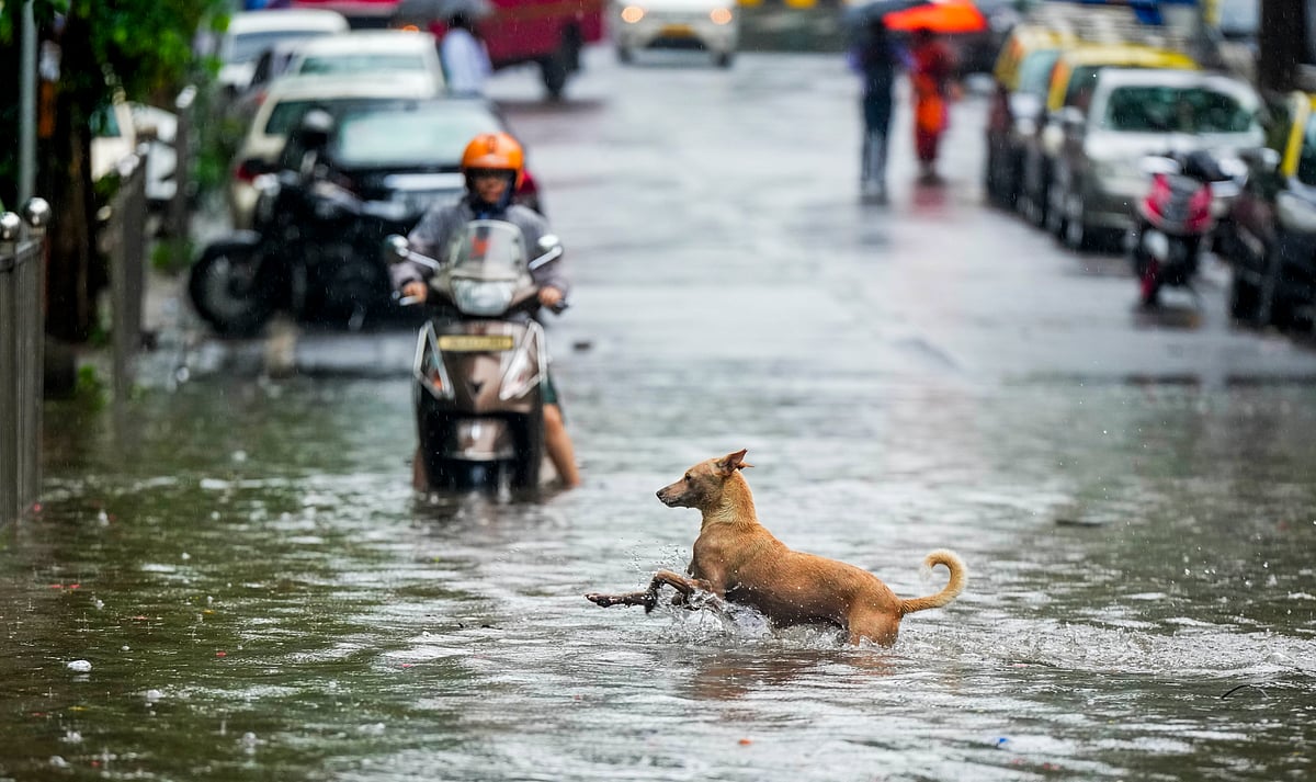 Mumbai Monsoon Arrives 16 Days In Advance; IMD Issues Red Alert ...