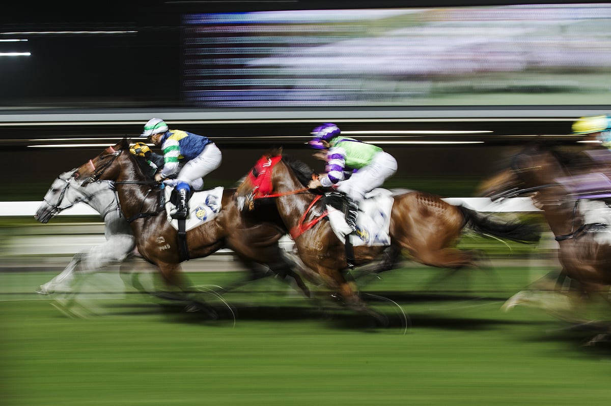 What Are Large Cap Stocks? Definition, Meaning & Basics Of Large Cap Stocks