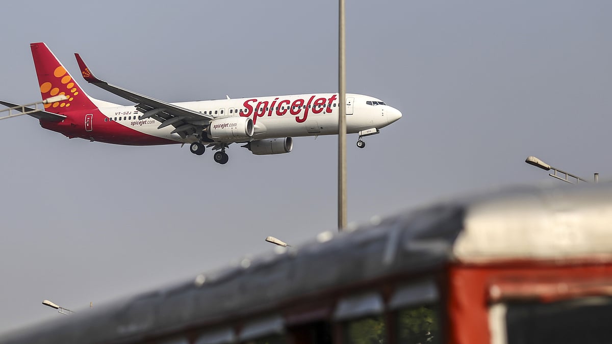 SpiceJet Q4 Results 2018-19: SpiceJet Profit Rises But Misses Estimates
