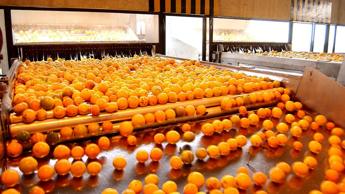 Commodity Prices: Orange Juice Ahead Of Crude, Aluminium In September