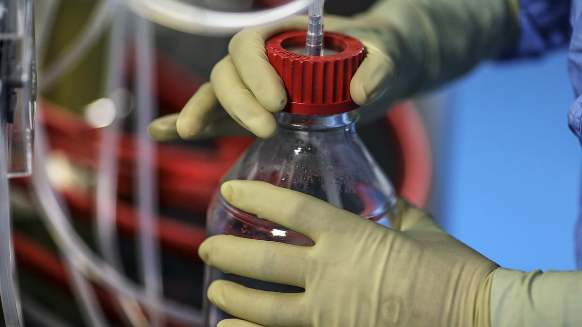 Sun Pharma Halol Plant: U.S. FDA Observations Show Sun Pharma’s Halol ...