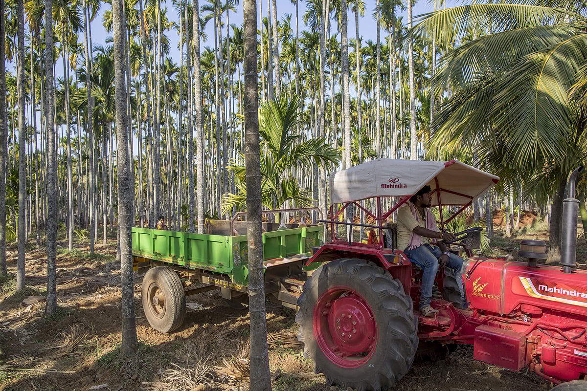 Can An ‘Agri-Stack’ Help Solve Indian Agriculture’s Age-Old Problems?