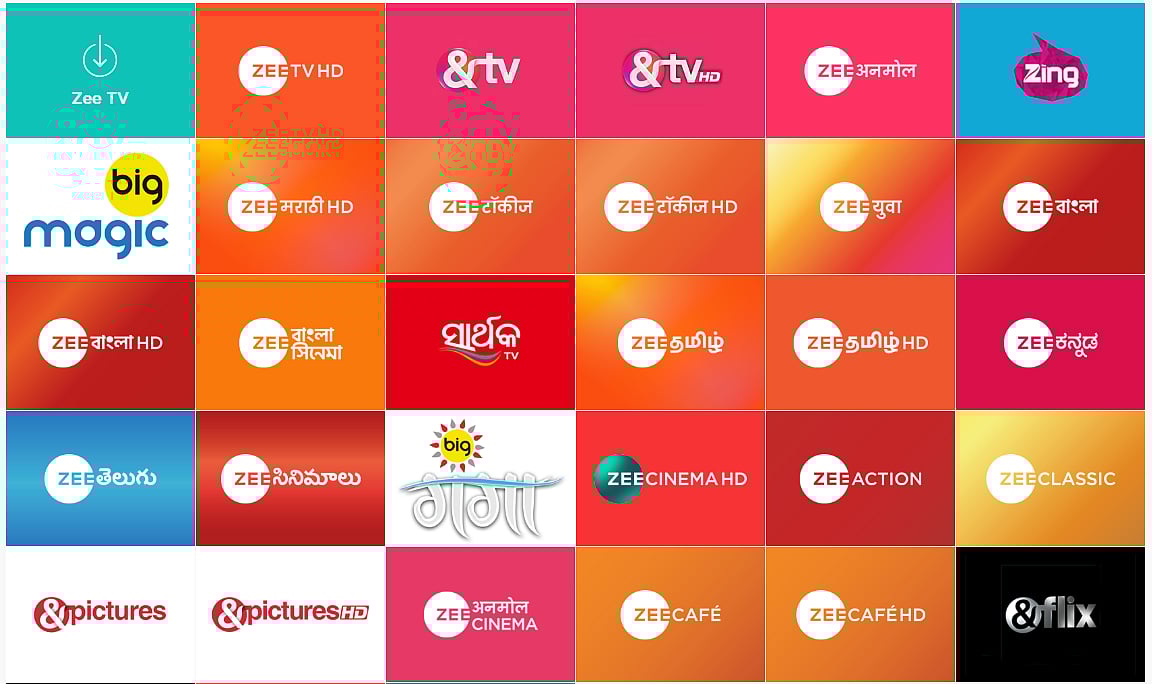 Disney Star Mulls Legal Action Against Zee For Backing Out From $1.4 ...