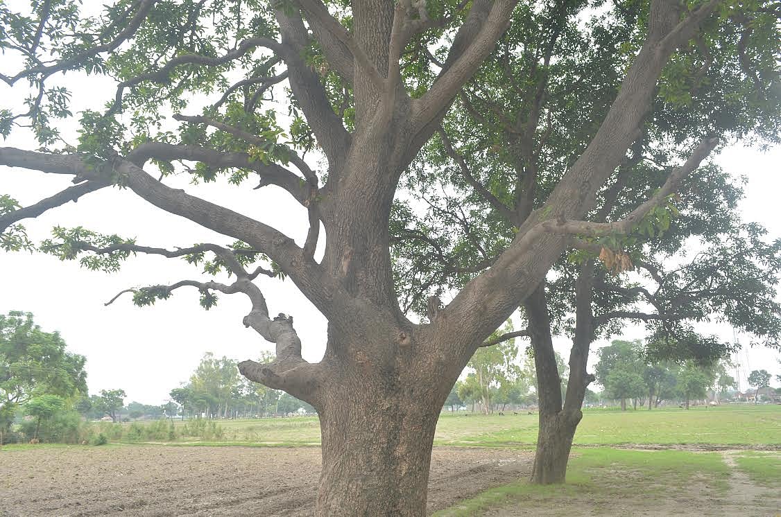 The Must-Read True Crime Book That Stares Into U.P.’s Dark Soul