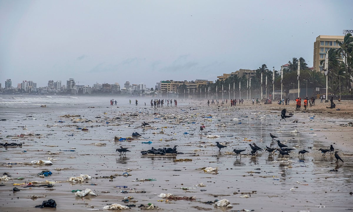 Wildlife-Watching In The World’s Most Polluted Places