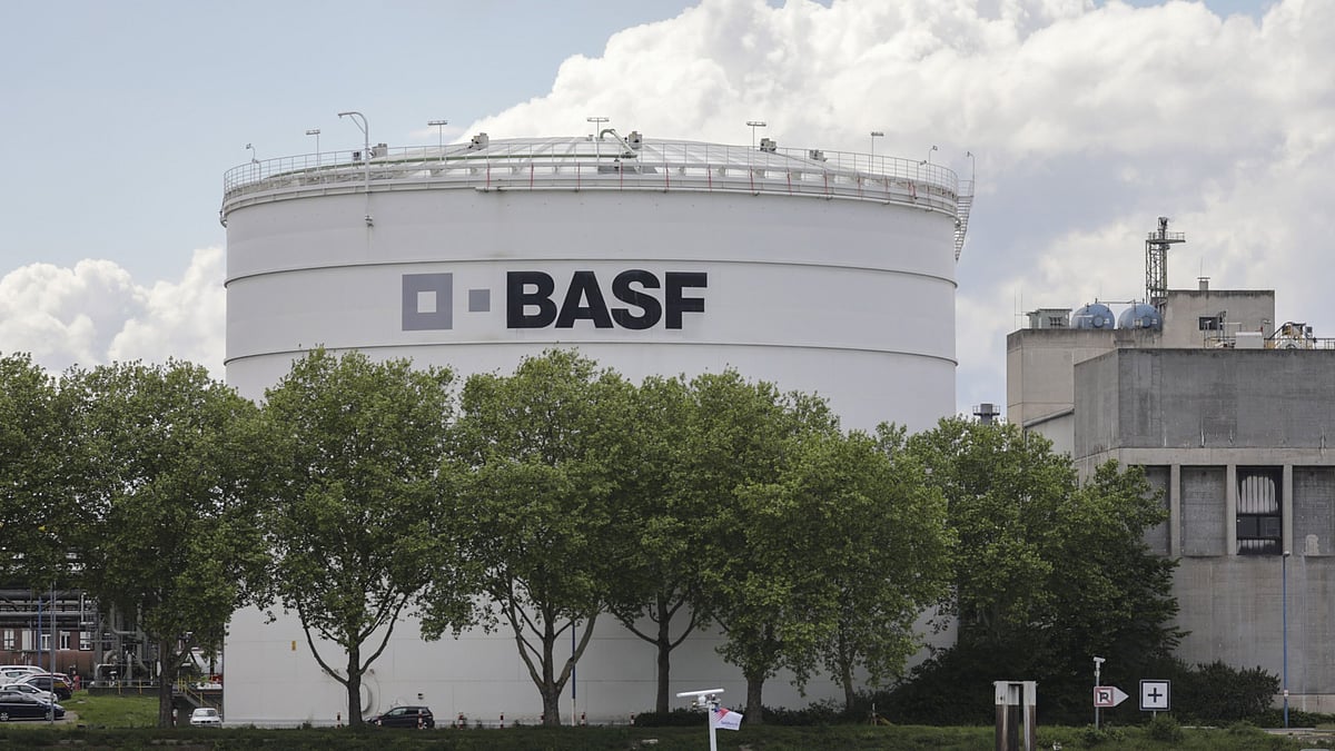 BASF India Share Price: Lone Star Funds To Buy BASF’s Construction ...