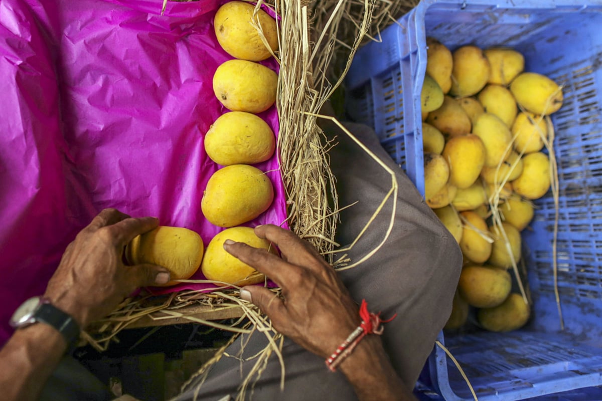 Mango Inflation: No Country For Aam Aadmi