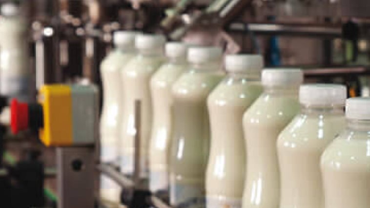 Parag Milk Foods - Transformation Underway With Early Signs Of Success ...