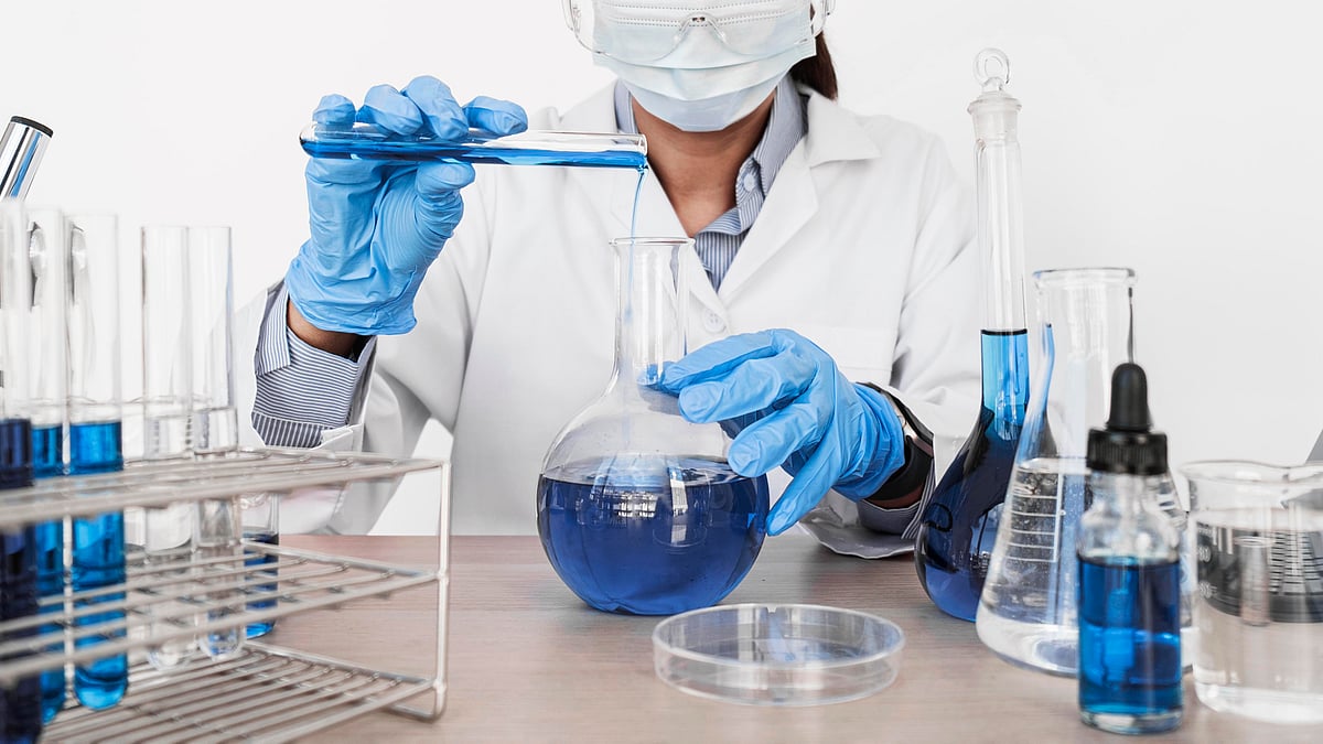 Clean Science Q3 Results Review - Good Sequential Performance: IDBI Capital