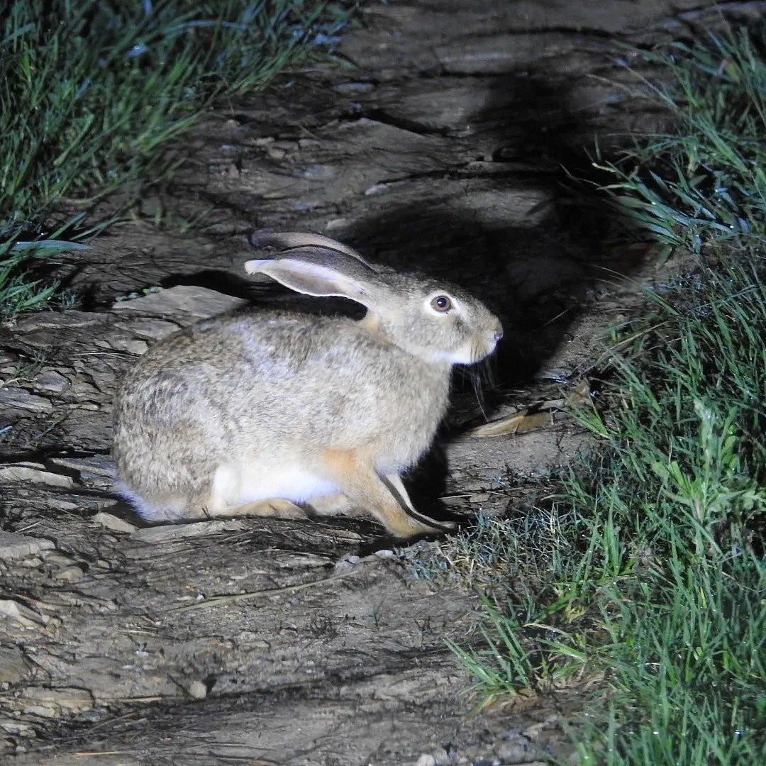 Hope In The Himalayas