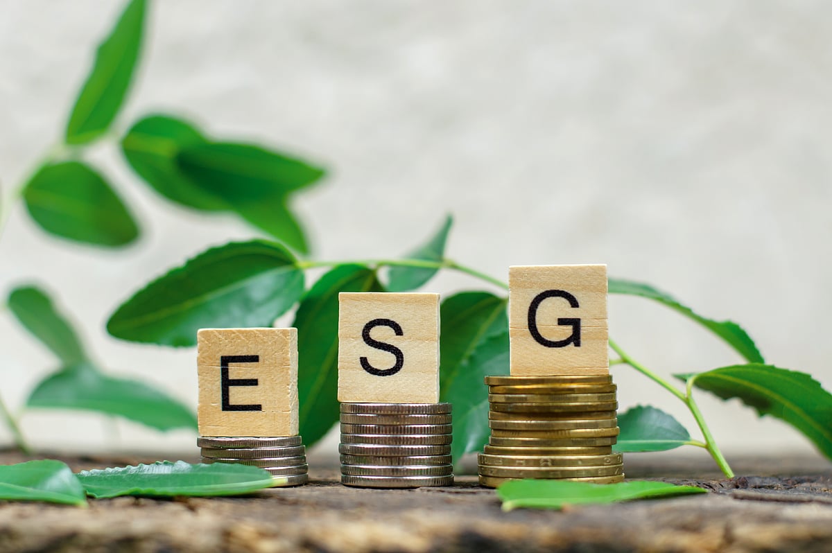 The Problem Of Greenwashing In ESG Investments In Finance