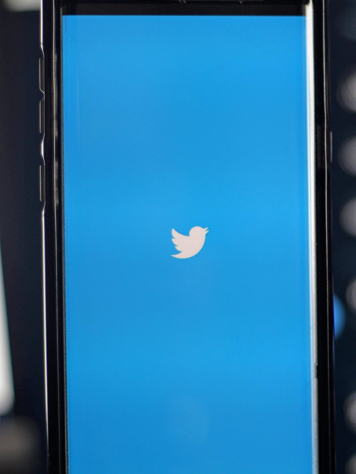 Blue, Gold, Or Grey: What Do Ticks Of Different Colour Mean On Twitter?