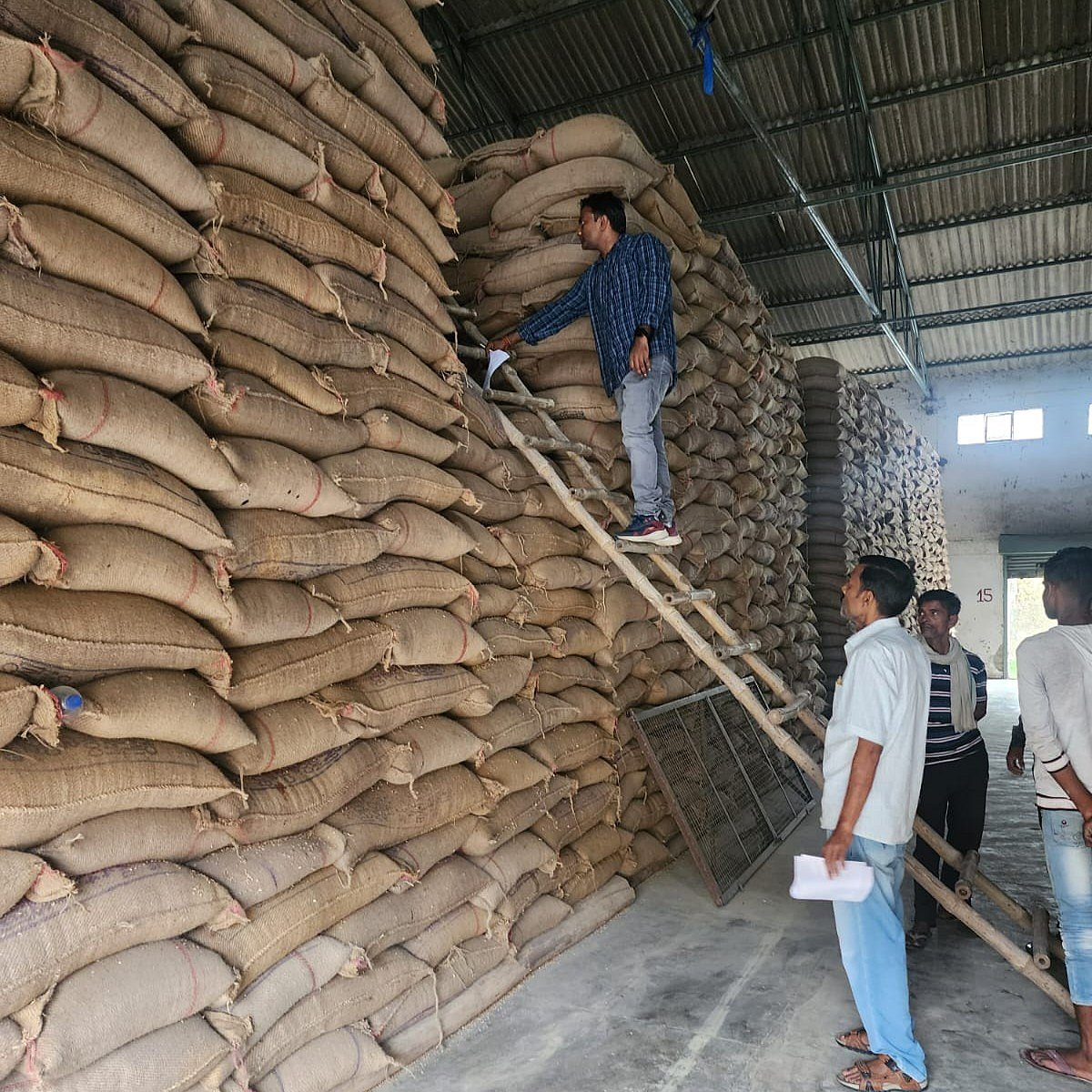 Government Says Rice Wastage At FCI Godowns Significantly Reduced