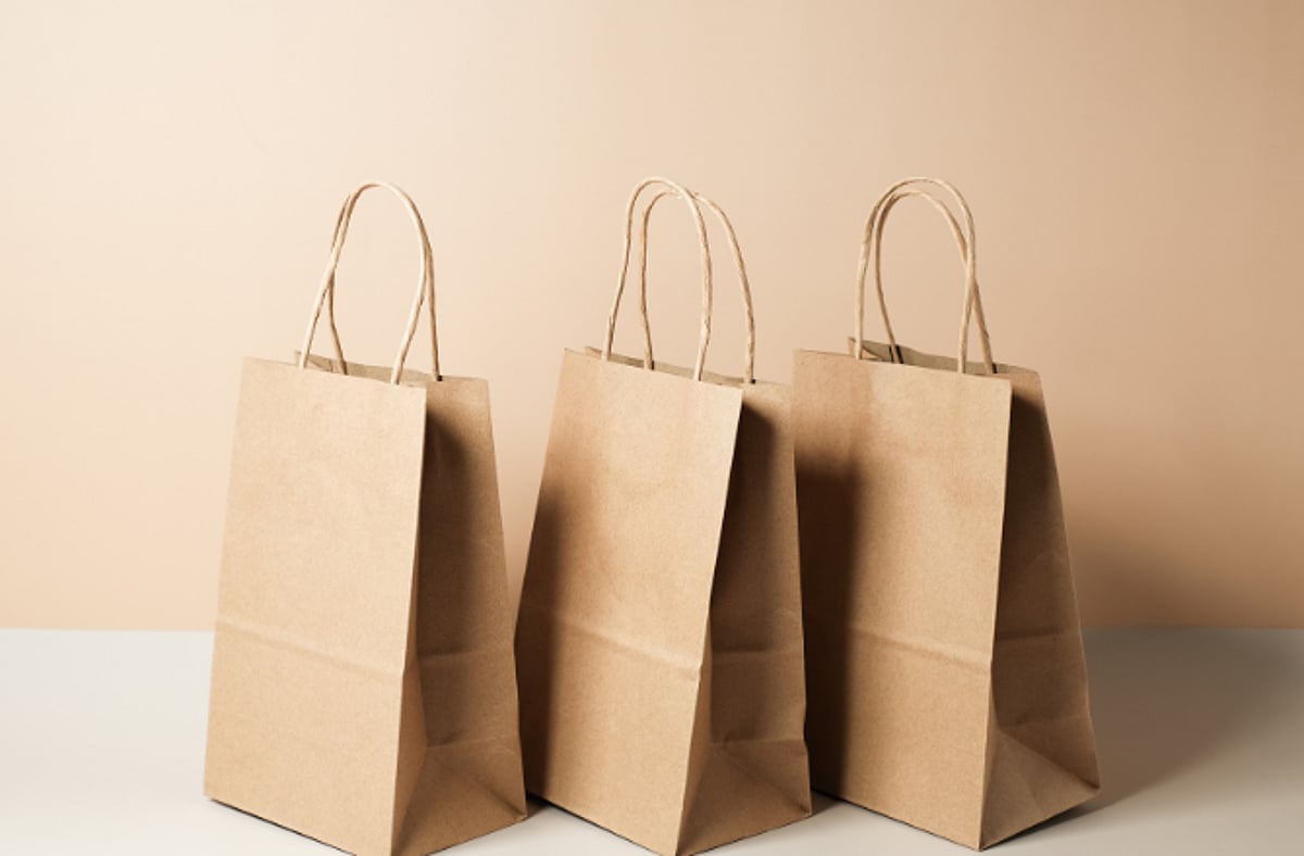 Paper Bag Day 2023: Date, History, Significance And How To Celebrate