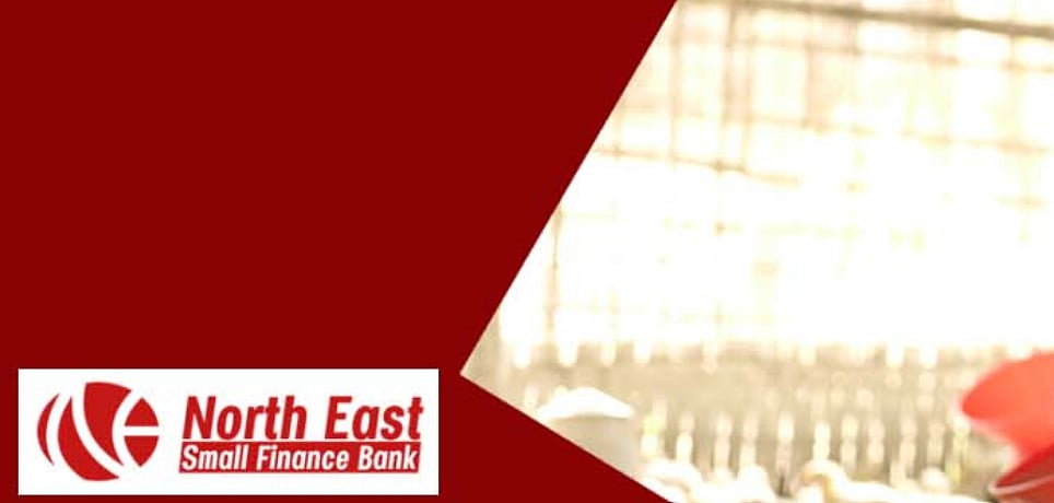 North East Small Finance Bank Appoints Satish Kumar Kalra As MD & CEO