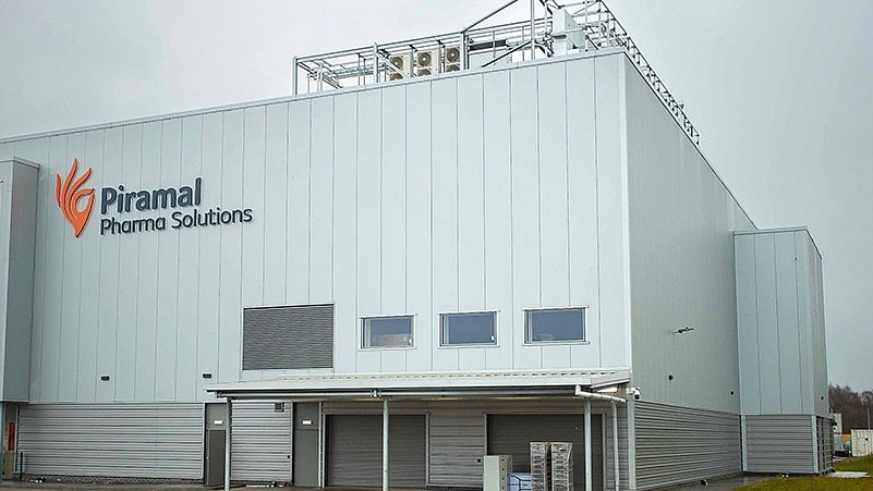 Q2 Results Updates: Piramal Pharma Profit Rises 350%; Pidilite Revenue ...