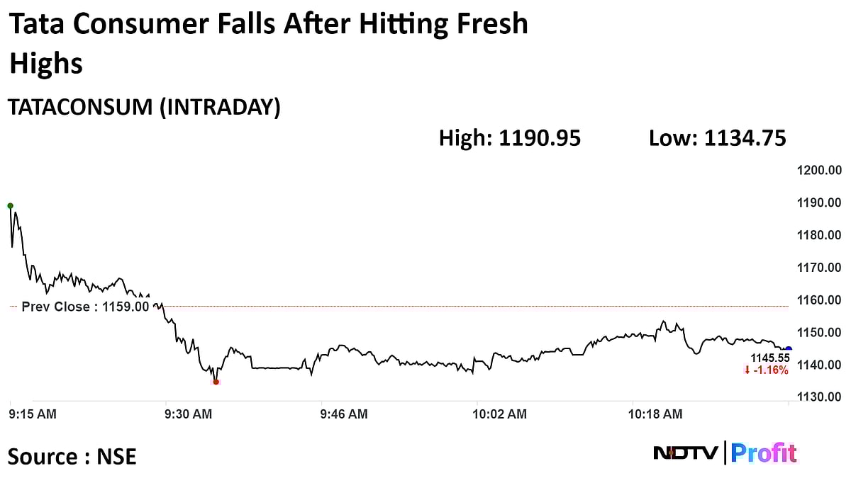 Tata Consumer Shares Hit Record On Capital Foods, Organic India ...