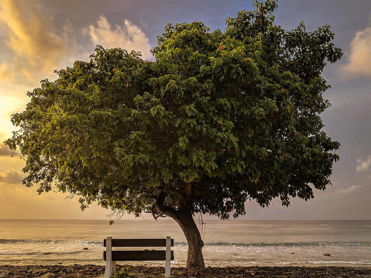 Minicoy Island: All You Need To Know About The 'Hidden Gem' Of Lakshadweep