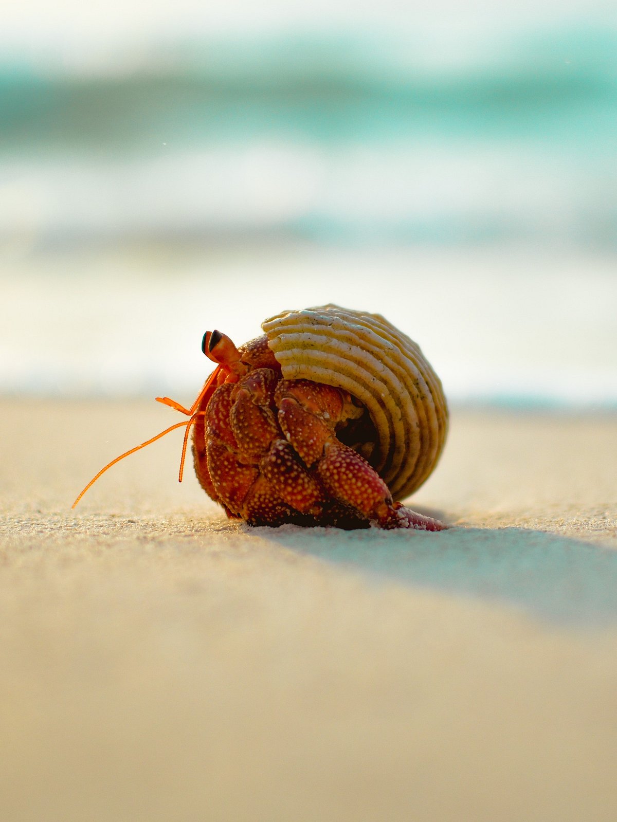 Lakshadweep Tourism: All About The Gorgeous Minicoy Island