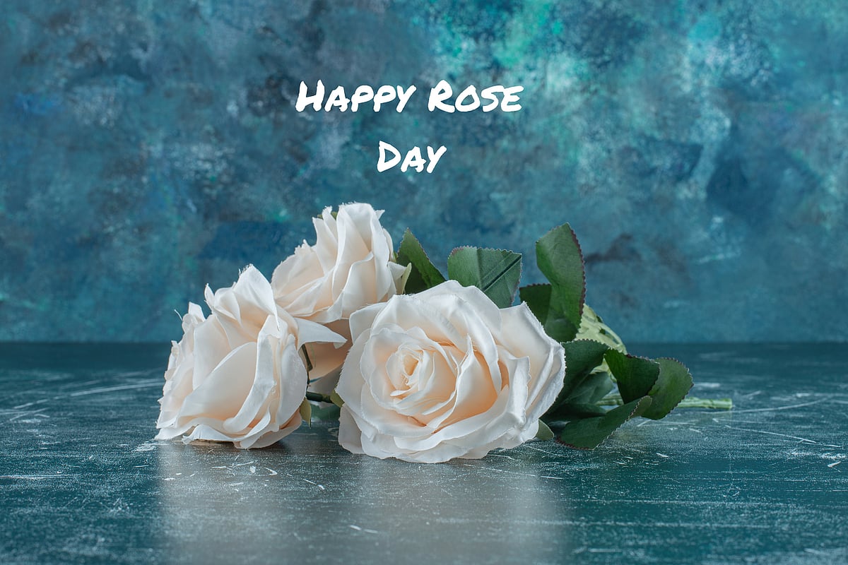 Happy Rose Day 2024: Wishes, Greetings, Messages, Quotes, Images ...