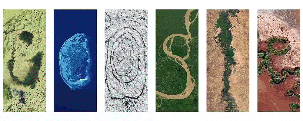 Earth Day 2024: Google Doodle Shares Planet’s Natural Beauty With A ...