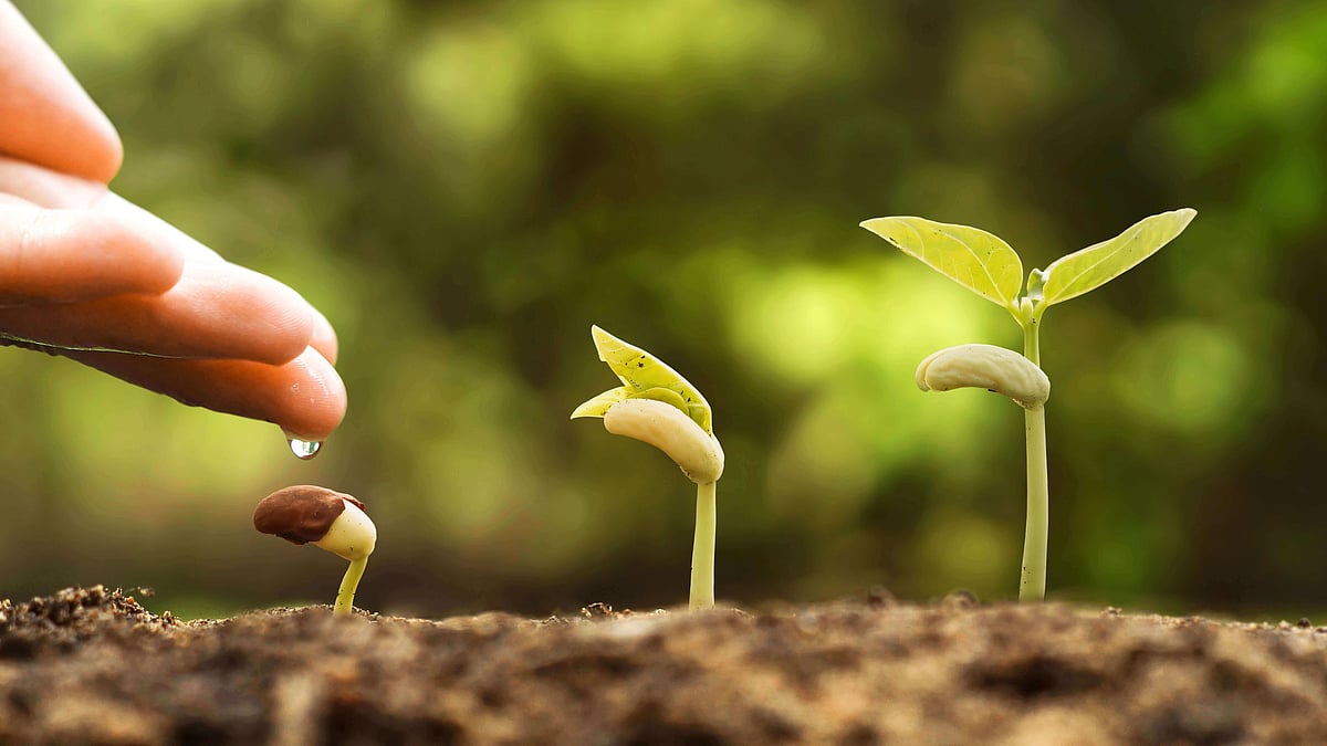 Best Agrolife Set To Launch Innovative Insecticide Nemagen In July