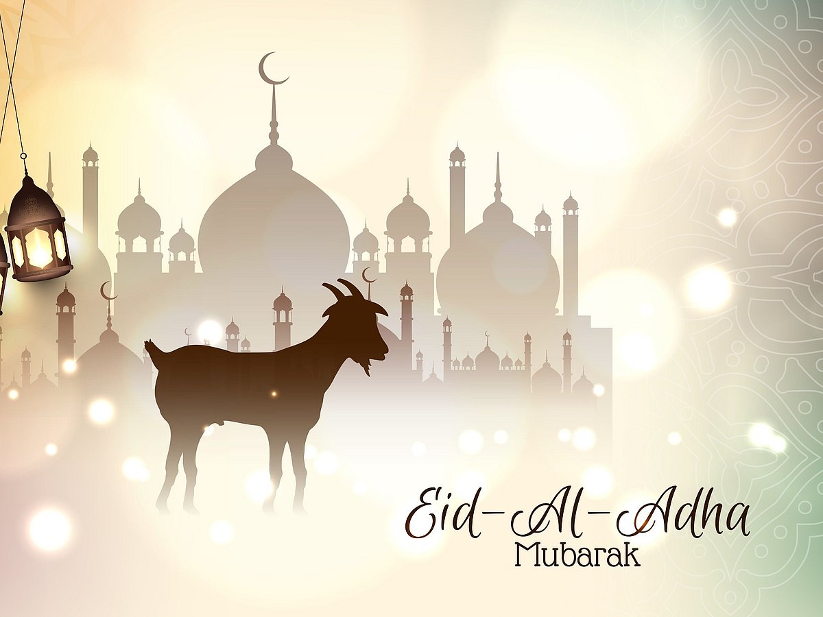 Happy Eid Ul Adha 2024: Eid Mubarak Wishes, Greetings, Quotes, Images ...