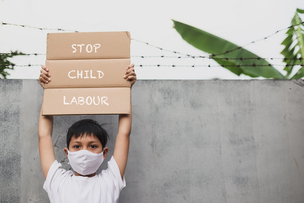 Som Distilleries Child Labour Scandal: NCPCR To Issue Notice To Madhya ...