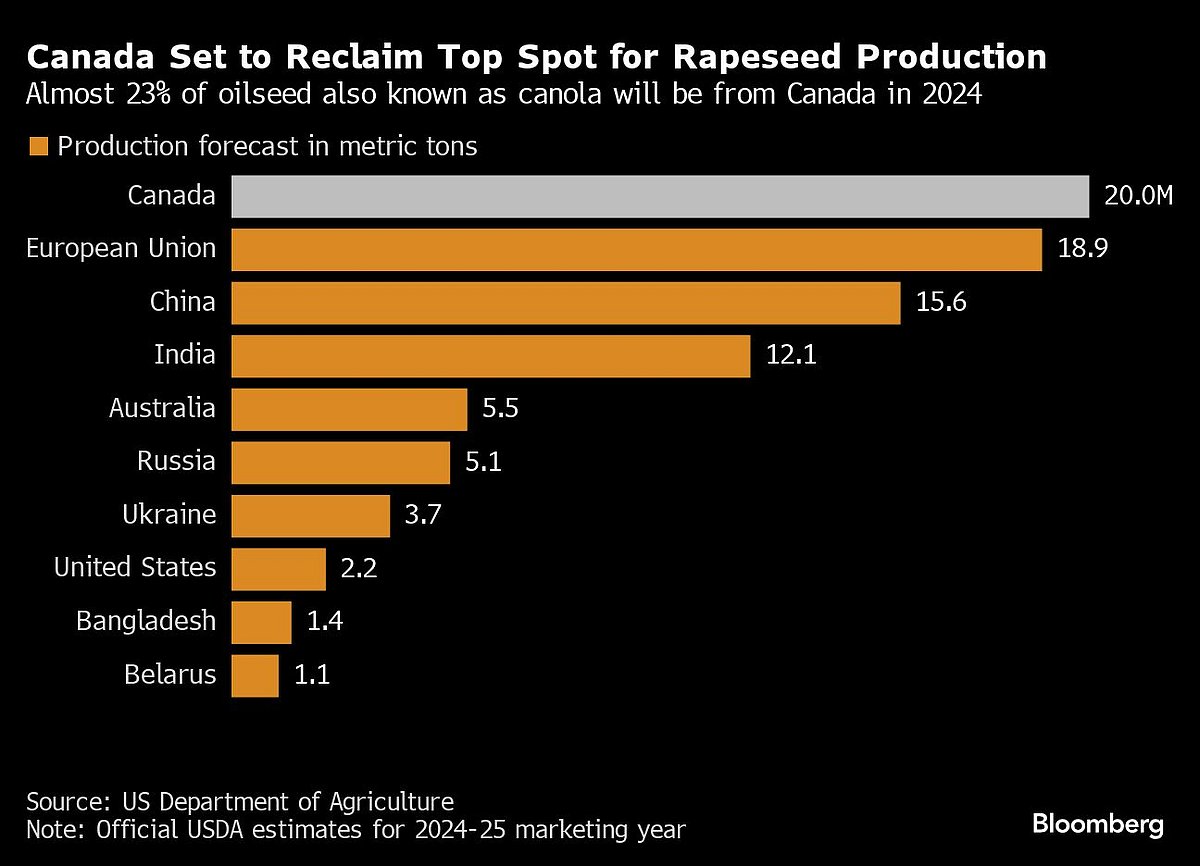 Five Key Charts To Watch In Global Commodity Markets This Week