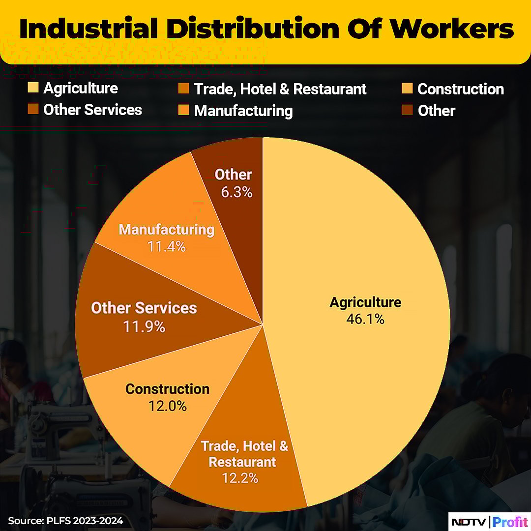 India's Employment Picture, From Female Participation To Jobless Rate ...