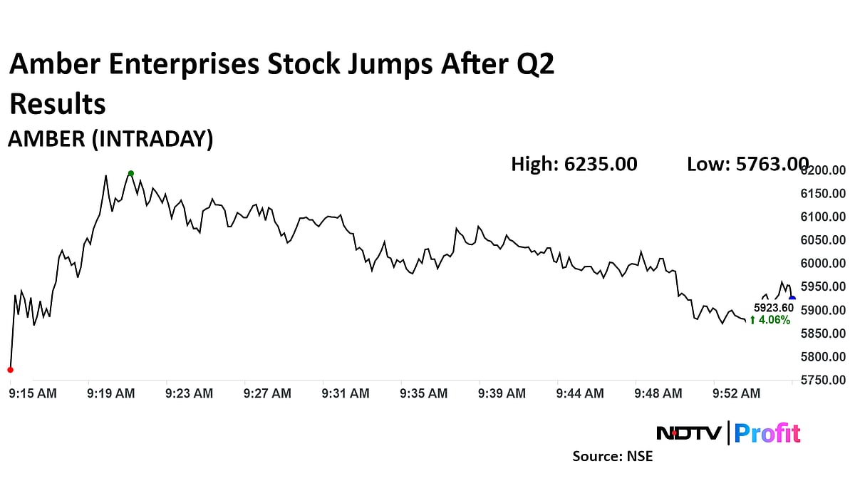 Amber Enterprises Share Price Jumps Nearly 10% After Solid Q2 Result