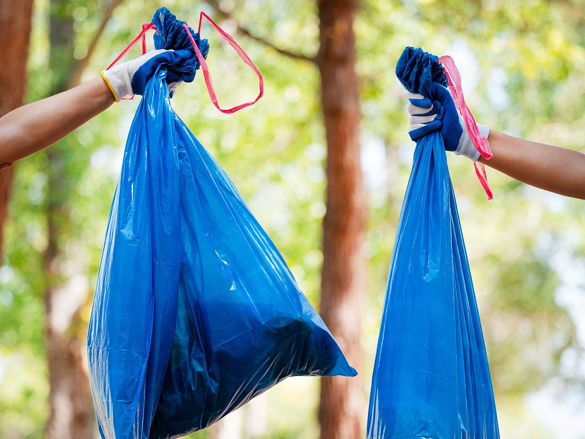 Centre Earns Over Rs 650 Crore From Scrap Disposal Cleanliness Campaign