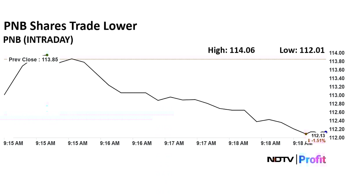 Punjab National Bank Share Price Declines As Morgan Stanley, Citi ...