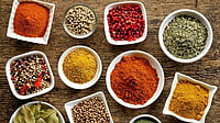 ITC Launches Premium Range Spices Under 'ITC Master Chef' Brand