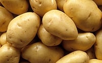 Budget 2020: Potato Production Rises 51% In Over A Decade, Says ...