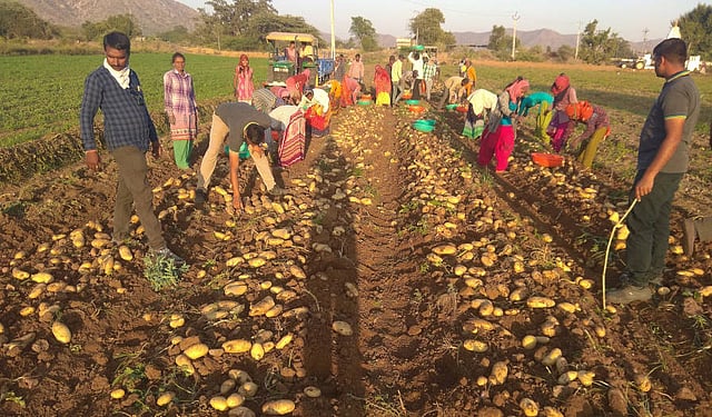 HyFun serves quality, wins the market