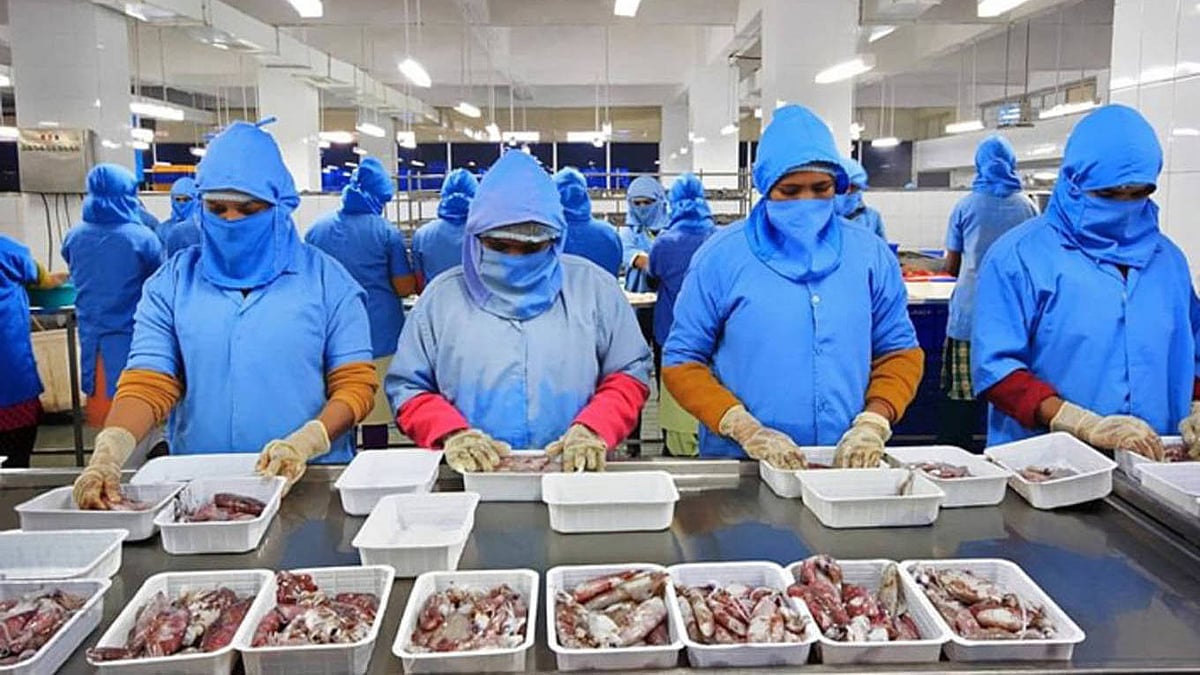 Gujarat’s seafood exports face a double whammy