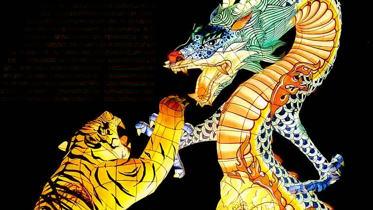 Wounded tiger, chasing dragon