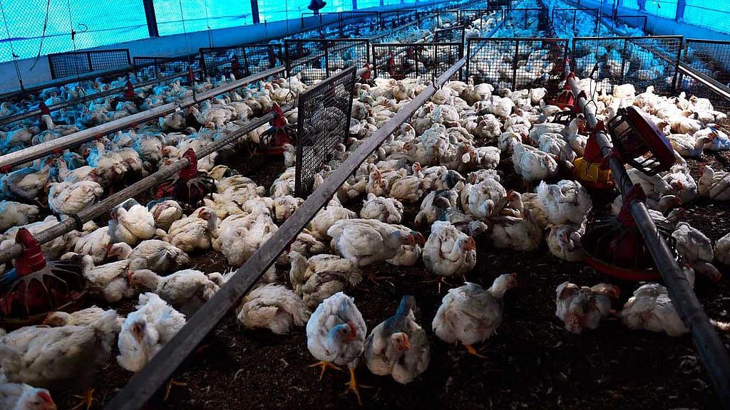 Need for a right prescription