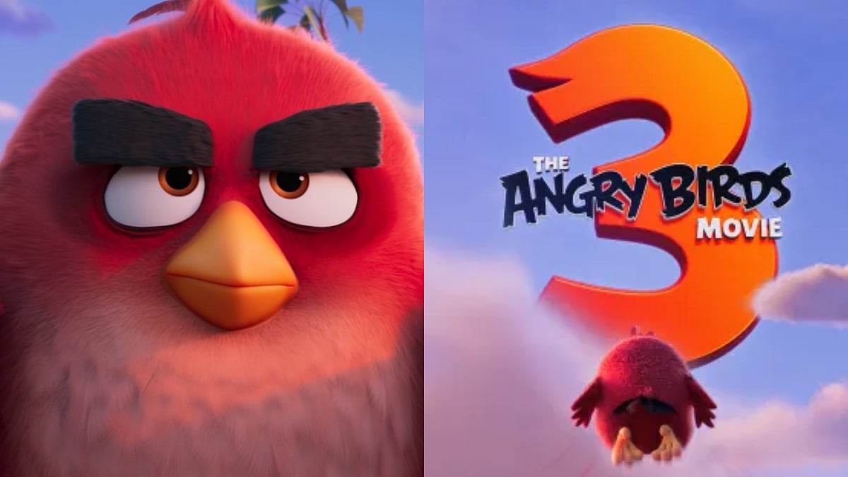 Angry Birds Movie Vs The Angry Birds Movie (Blu Ray) (Blu Ray), Niet