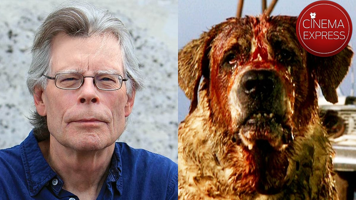 Netflix confirms Stephen King's Cujo remake