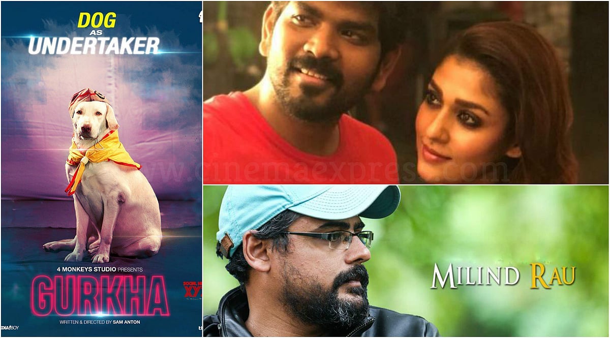 Nayanthara's next to be directed by Aval fame Milind Rao; a dog to play ...