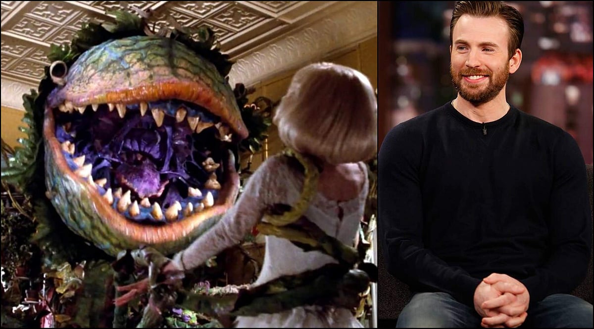 Chris Evans in talks to play dentist Orin Scrivello in Little Shop of ...