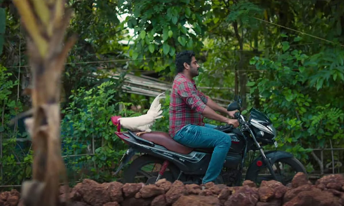 Poovan trailer: Antony Varghese locks horns with a rooster this time