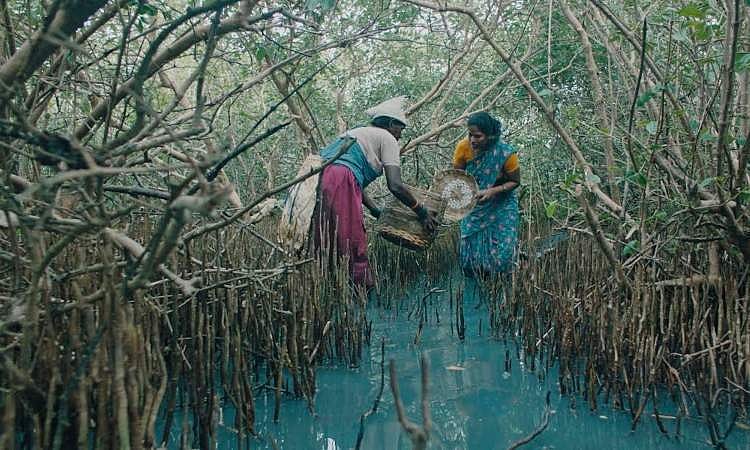 Here's the trailer for the short film Virundhu